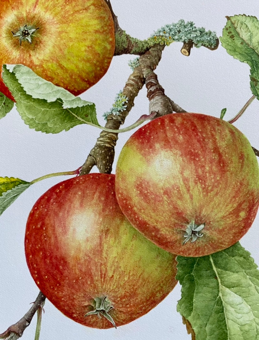 Bridget Gillespie – Kate Preston Art