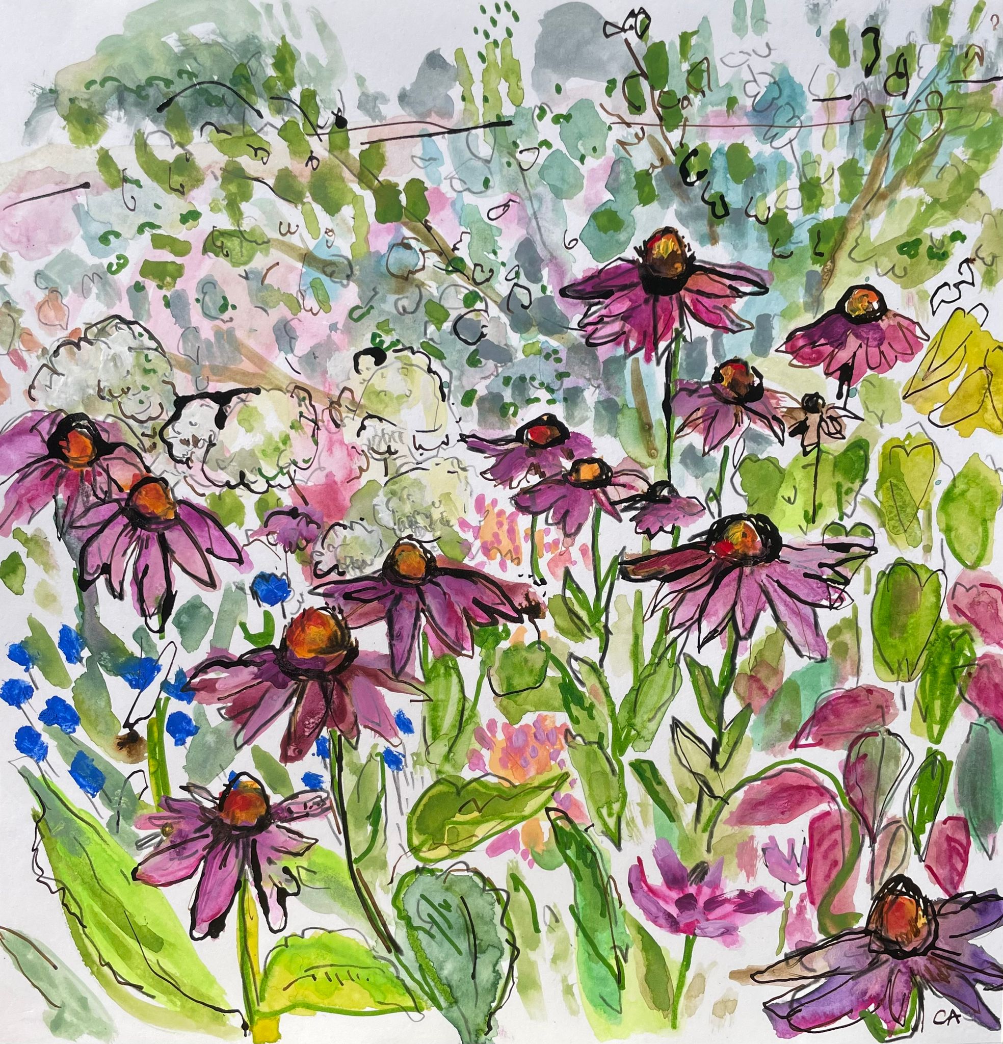 Echinacea I – Kate Preston Art