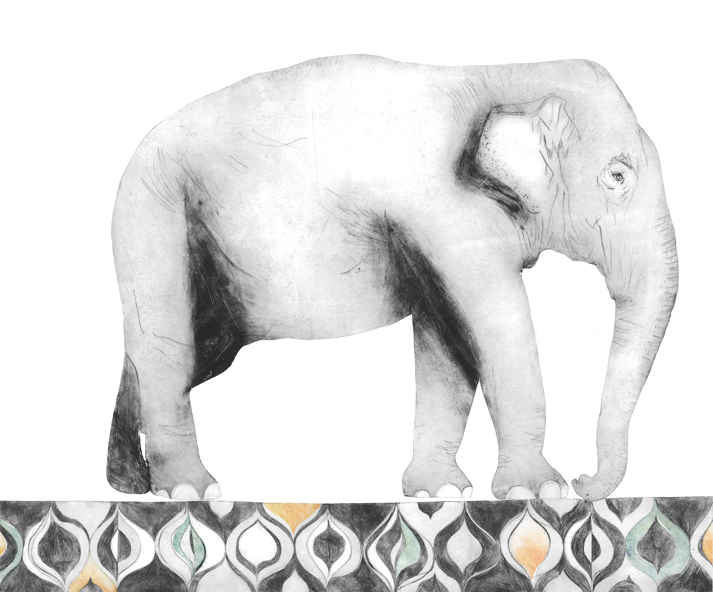Indian Elephant – Kate Preston Art