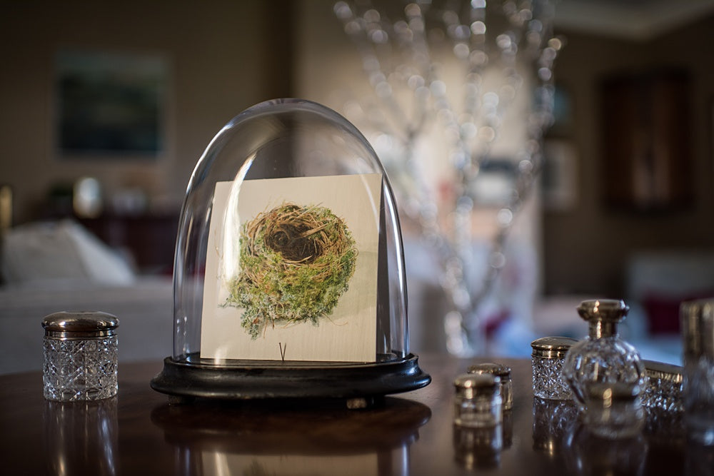 Nest – Kate Preston Art
